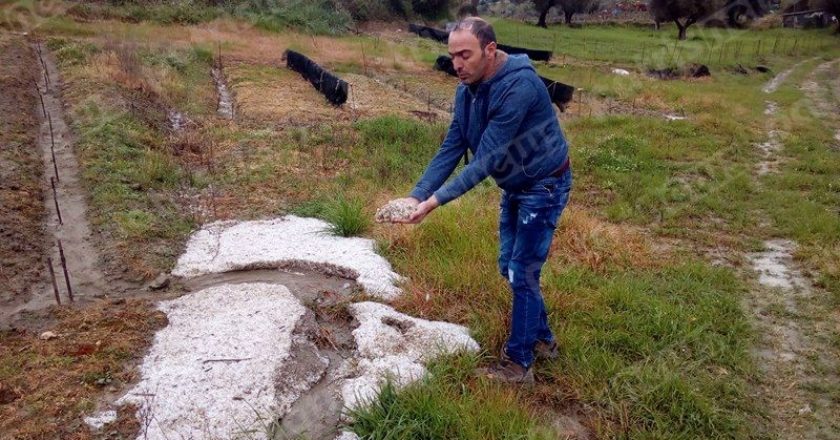 ΩΛΕΝΗ - PatrisNews - Εφημερίδα Πατρίς Ηλείας