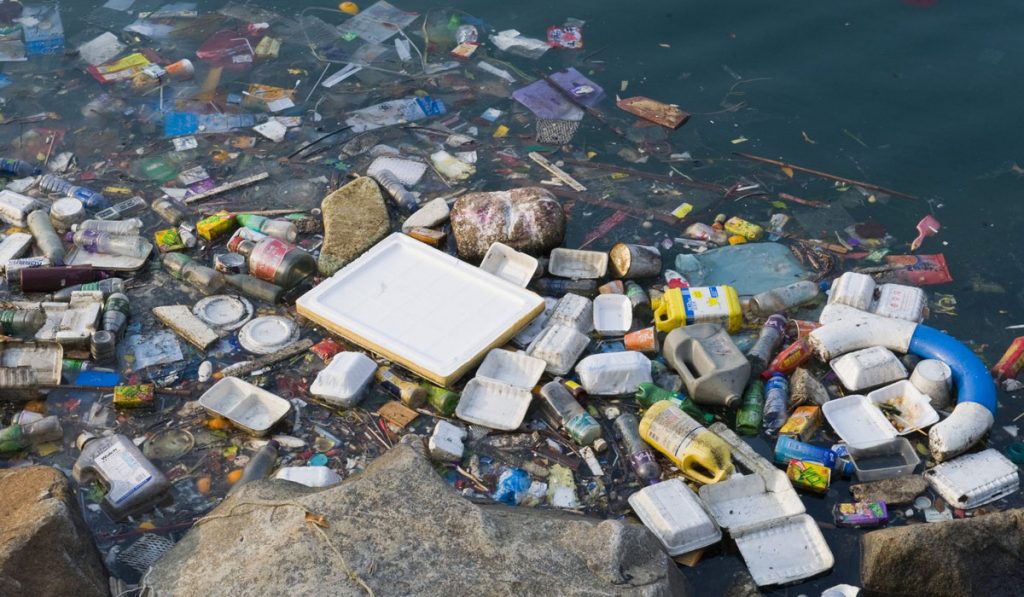 Ρύπανση των Υδάτων: Συνέπειες και αίτια για τους βιώσιμους οργανισμούς ...